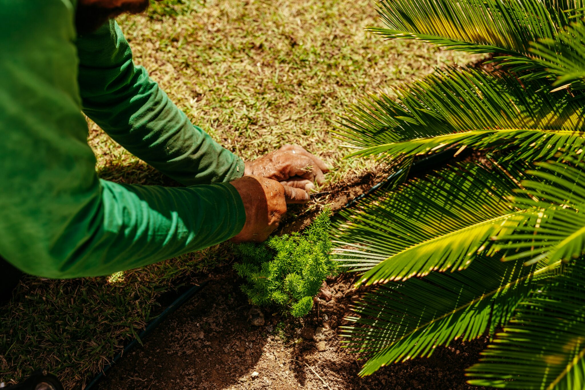 Philanthropic Leadership: John Killgore's Role at Fern House